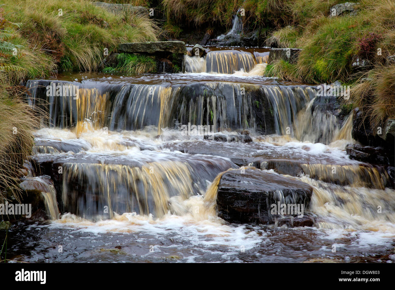 Peat stained water cascading down stepped falls in Crowden Brook near ...