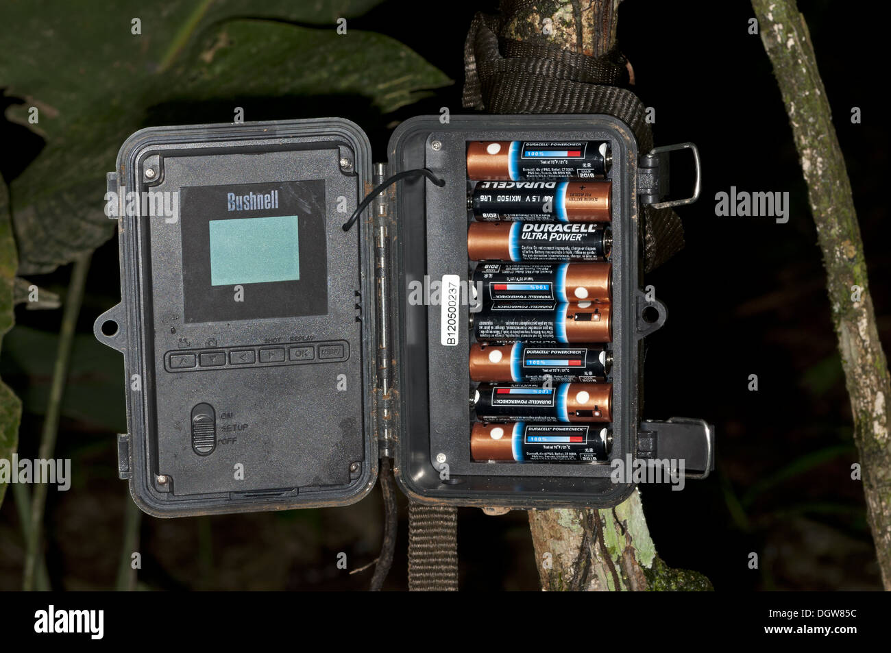 Opened camera trap Bushnell Trophy Cam HD Stock Photo - Alamy