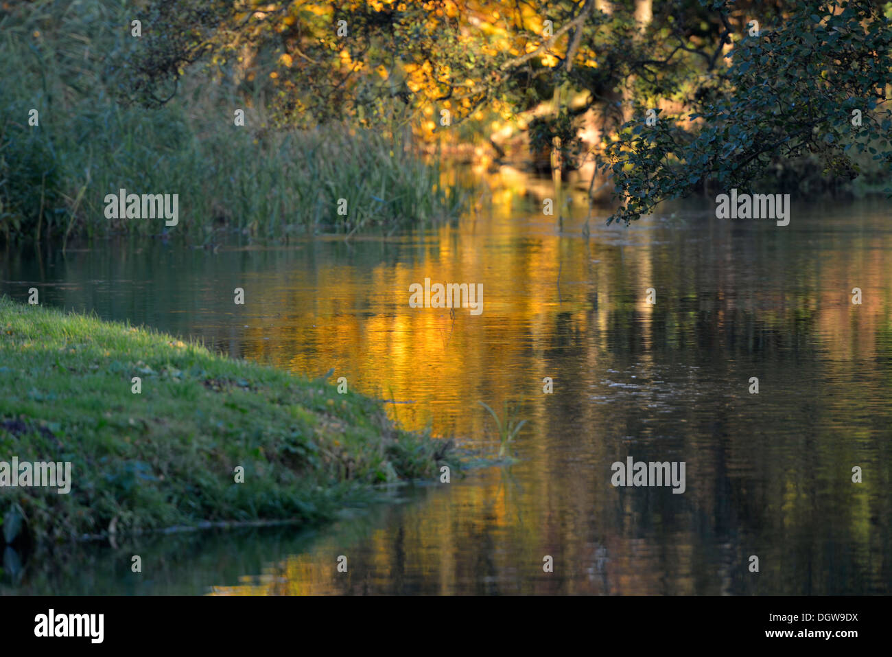 mooth water in river Nybroån coloured by the evening sun Stock Photo ...