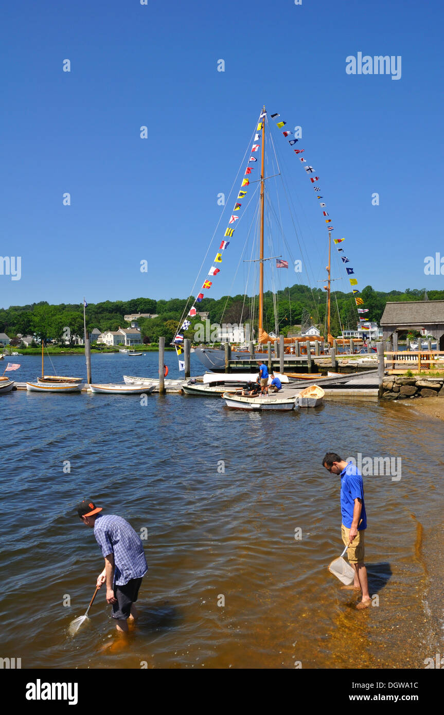 Collecting clams at Mystic Seaport, Connecticut, USA Stock Photo - Alamy
