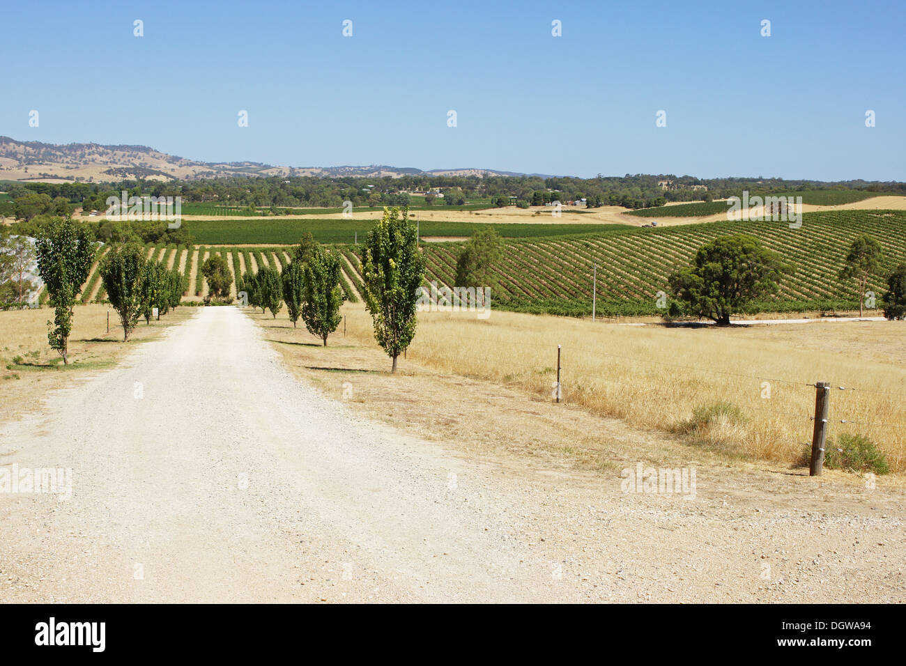 Landscape of Barossa Valley, Australia Stock Photo - Alamy