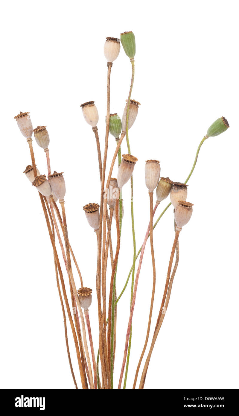 Empty head hi-res stock photography and images - Alamy