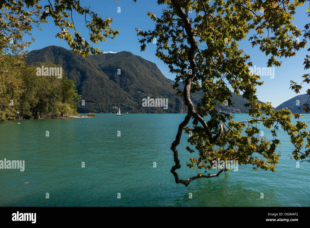 Parco civico hi-res stock photography and images - Alamy