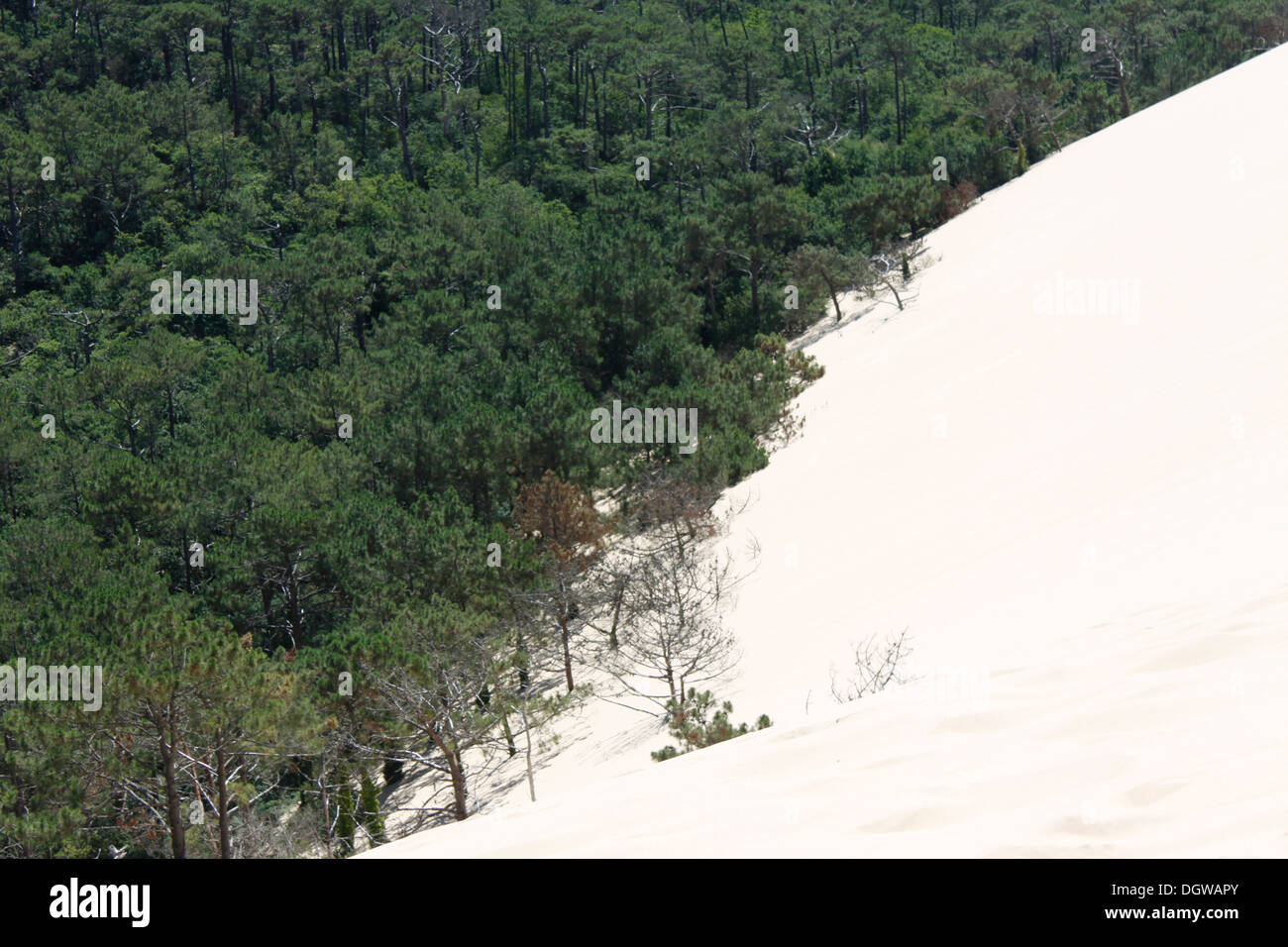 Pyla Bassin D Arcachon _ Haïta Pyla Sur Mer – WHKRQ