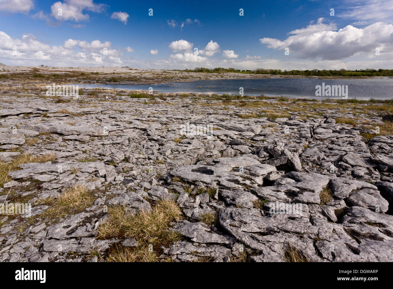 Gryke grykes hi-res stock photography and images - Alamy