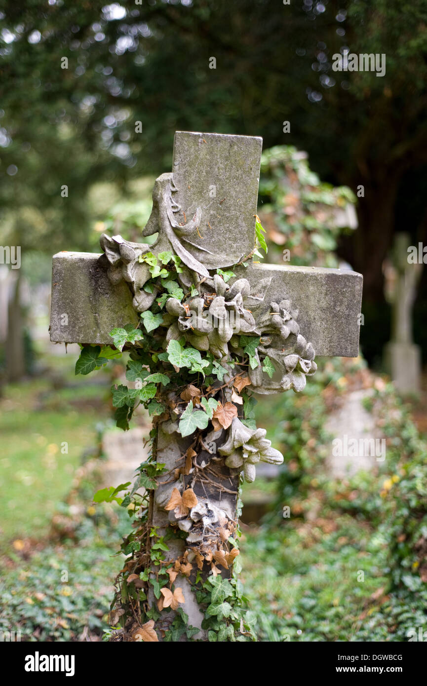 A headstone in a cemetery overgrown with plant Stock Photo - Alamy