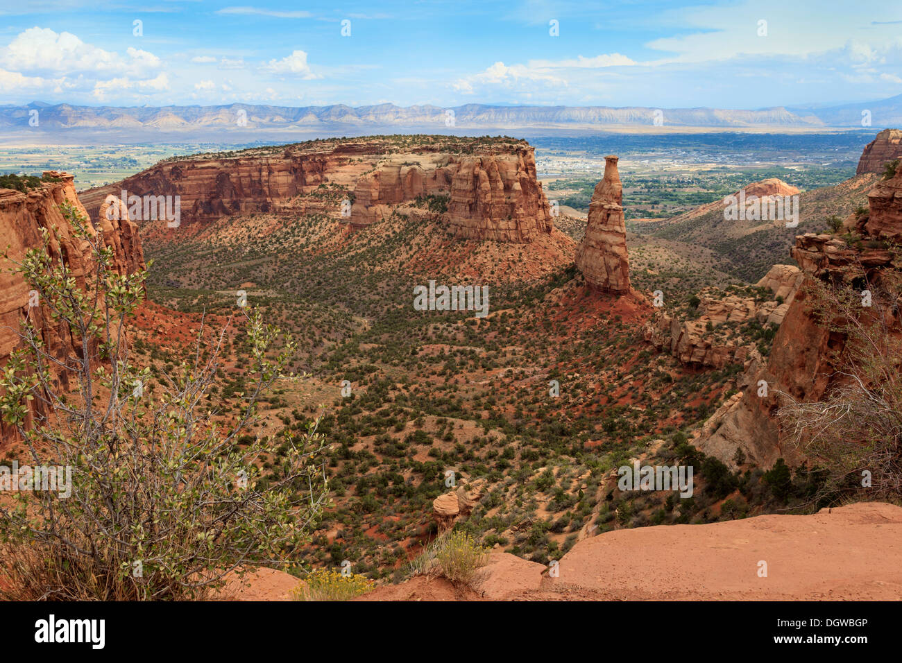 Pinyon juniper hi-res stock photography and images - Alamy