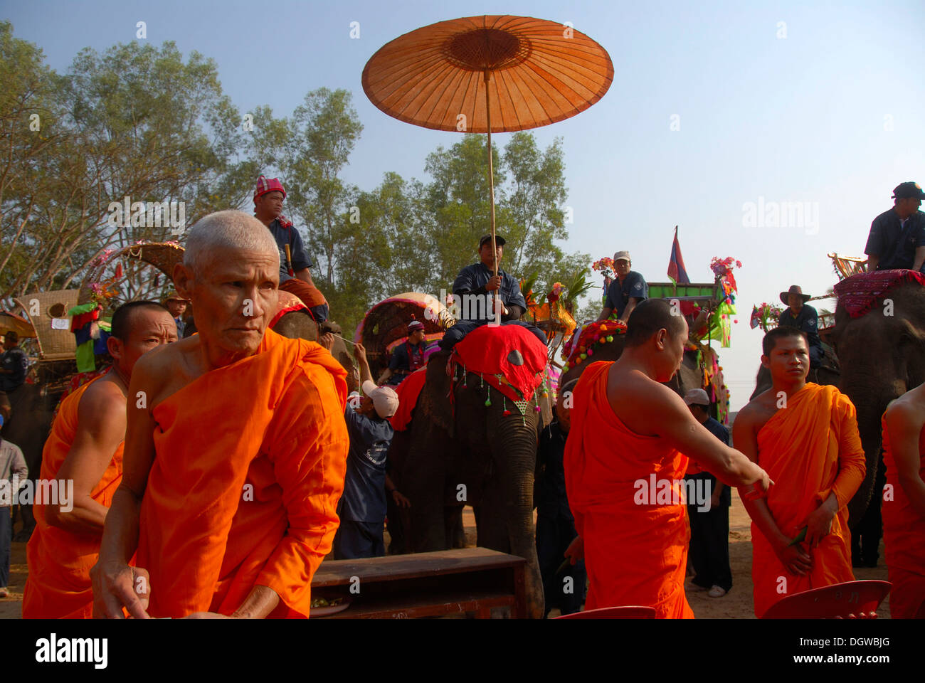 Decorated elephants, Mahout sitting under sunshade, Buddhist monks at ...