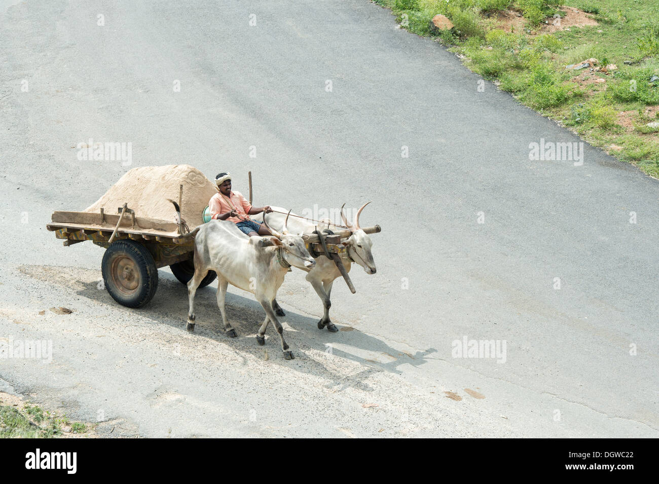 Controlling bullock cart hi-res stock photography and images - Alamy