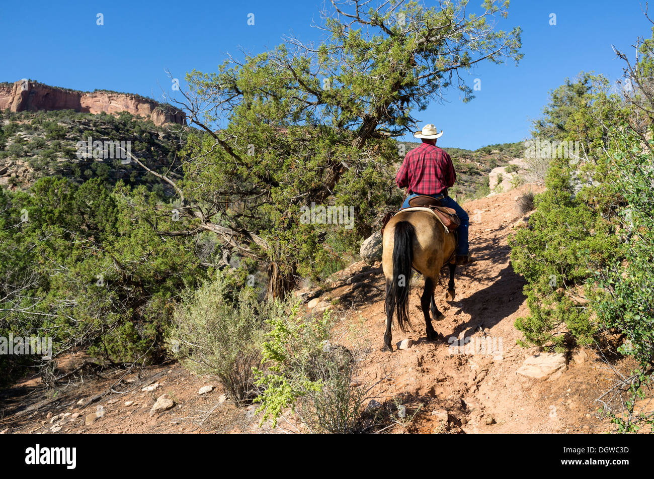 Modern day cowboy on horseback riding his horse in the desert near the ...