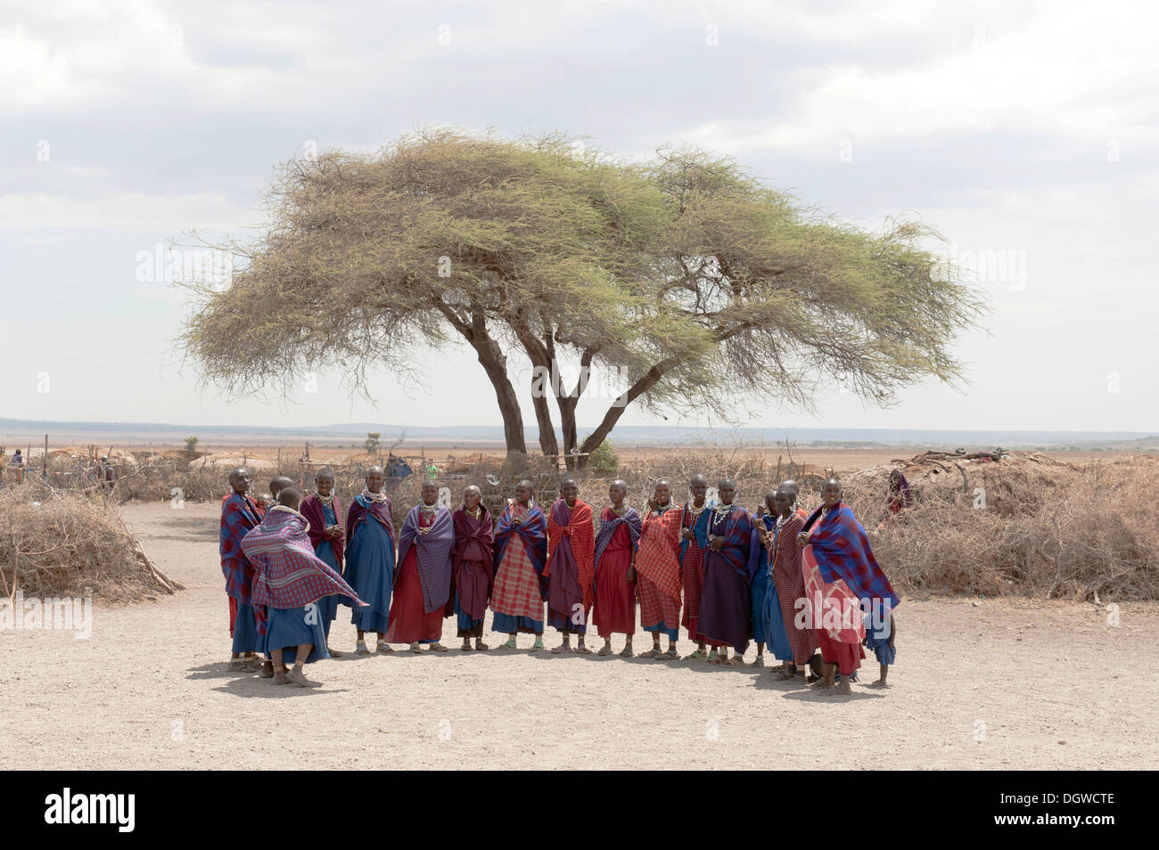 Group of women gathered under an acacia tree, Masai, ethnology, Kiloki ...