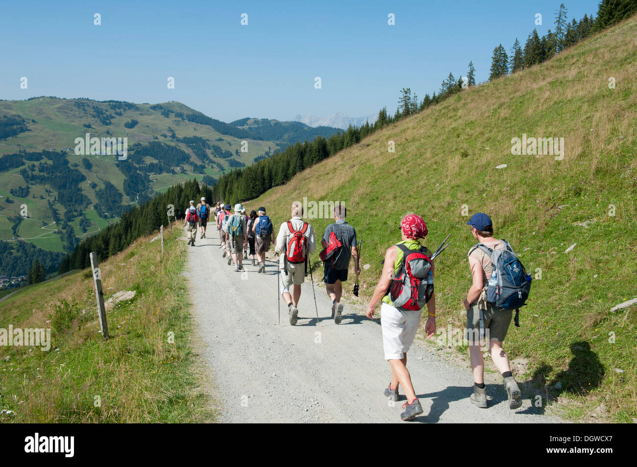 Hiking group walking along a wide path, Saalbach-Hinterglemm, Kitzbuhel ...