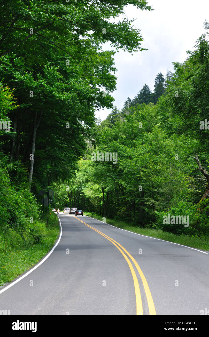 Great Smoky Mountains National Park, Tennessee, USA Stock Photo - Alamy