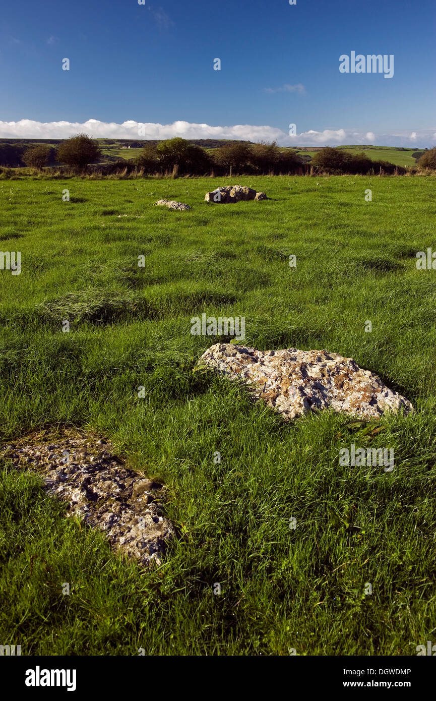 Kingston Russell late Neolithic/early Bronze Age Stone Circle near ...