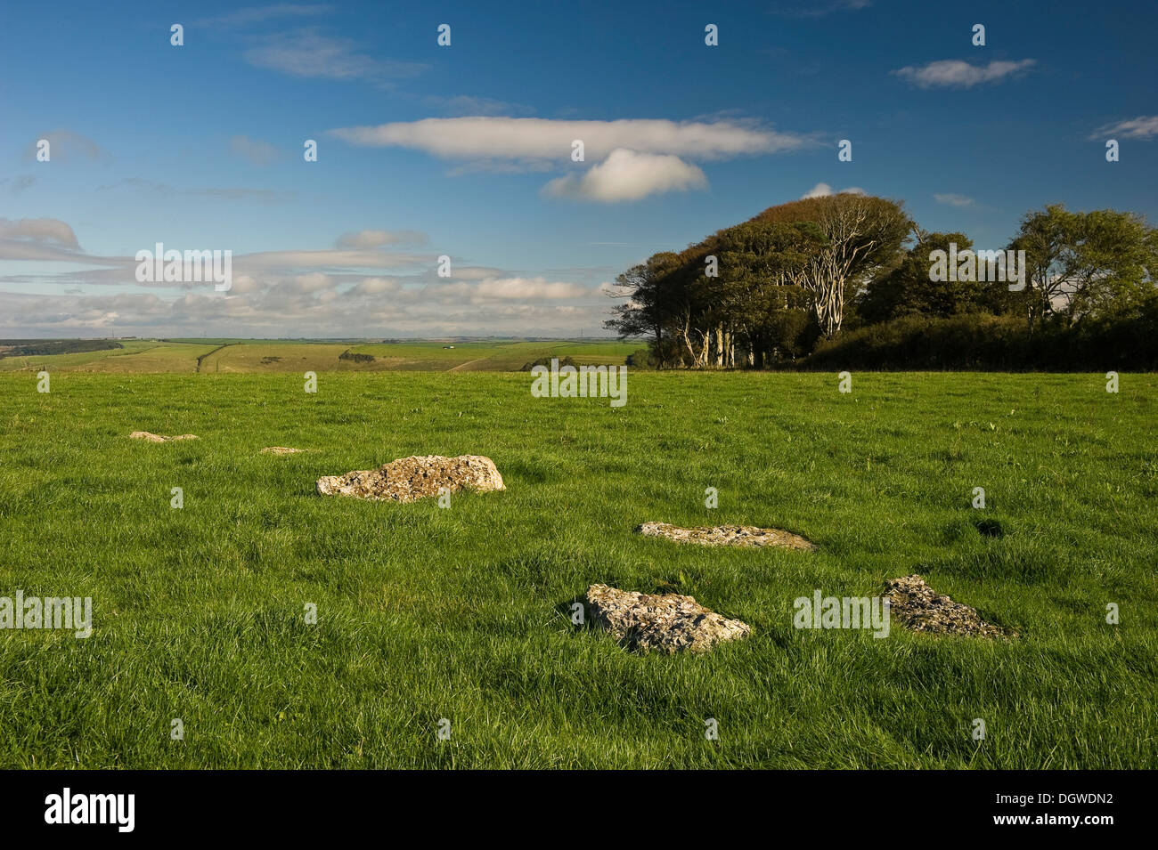 Kingston Russell late Neolithic/early Bronze Age Stone Circle near ...