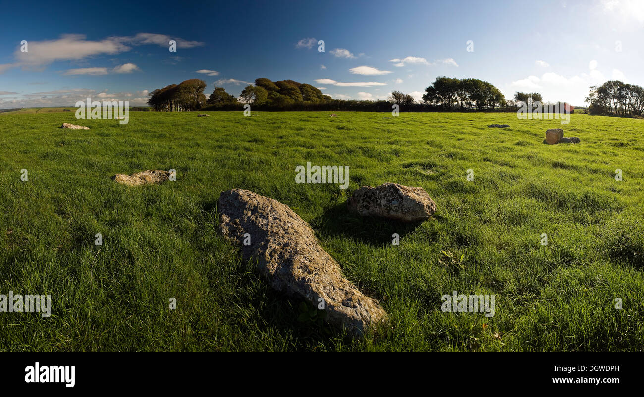 Kingston Russell late Neolithic/early Bronze Age Stone Circle near ...