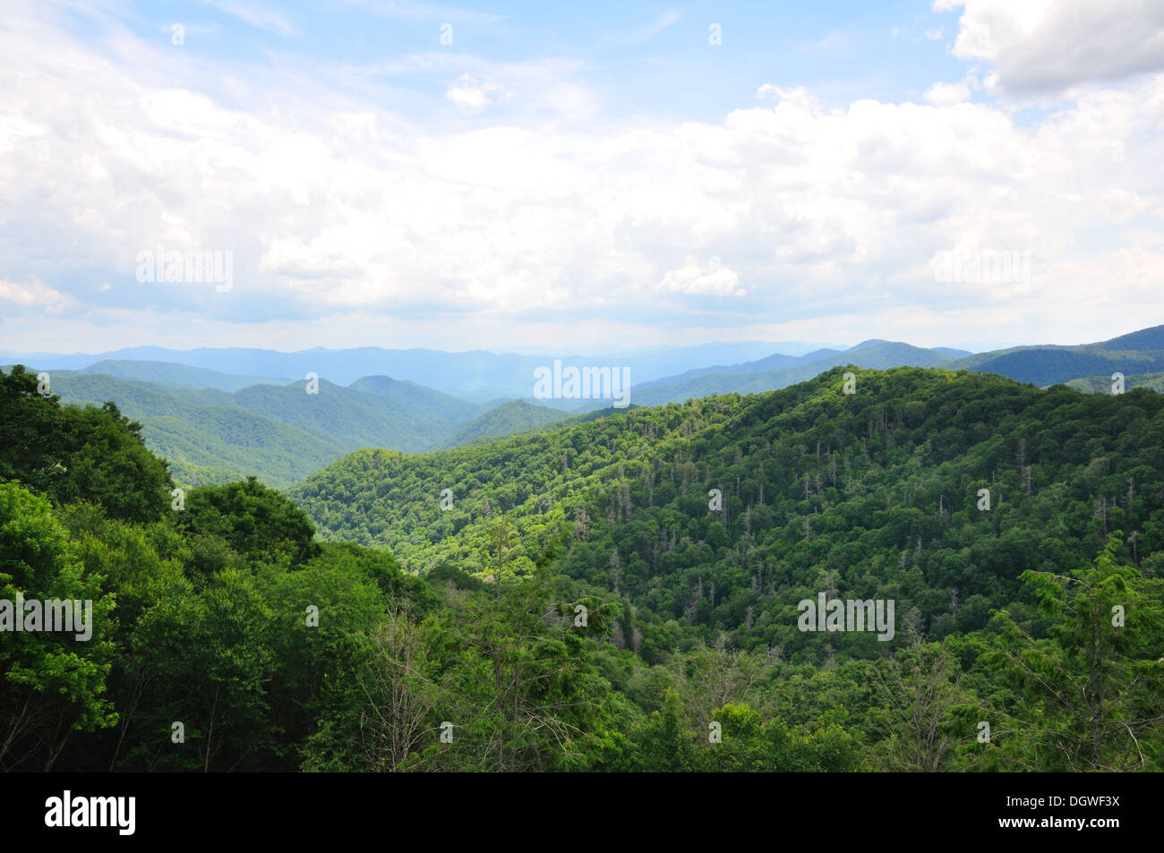 Great Smoky Mountains National Park, Tennessee, USA Stock Photo - Alamy