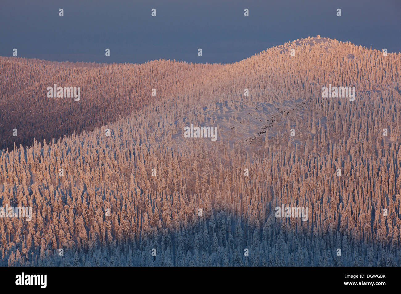 Valtavaara in winter, view from Rukatunturi Mountain, Valtavaara-Pyhävaara Nature Reserve ...