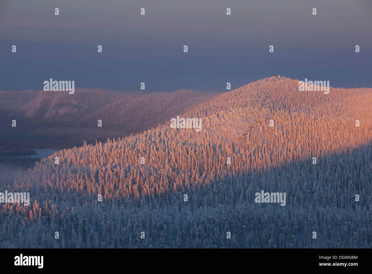 Valtavaara in winter, view from Rukatunturi Mountain, Valtavaara-Pyhävaara Nature Reserve ...