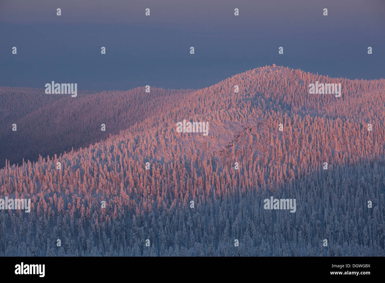 Vaara hi-res stock photography and images - Alamy