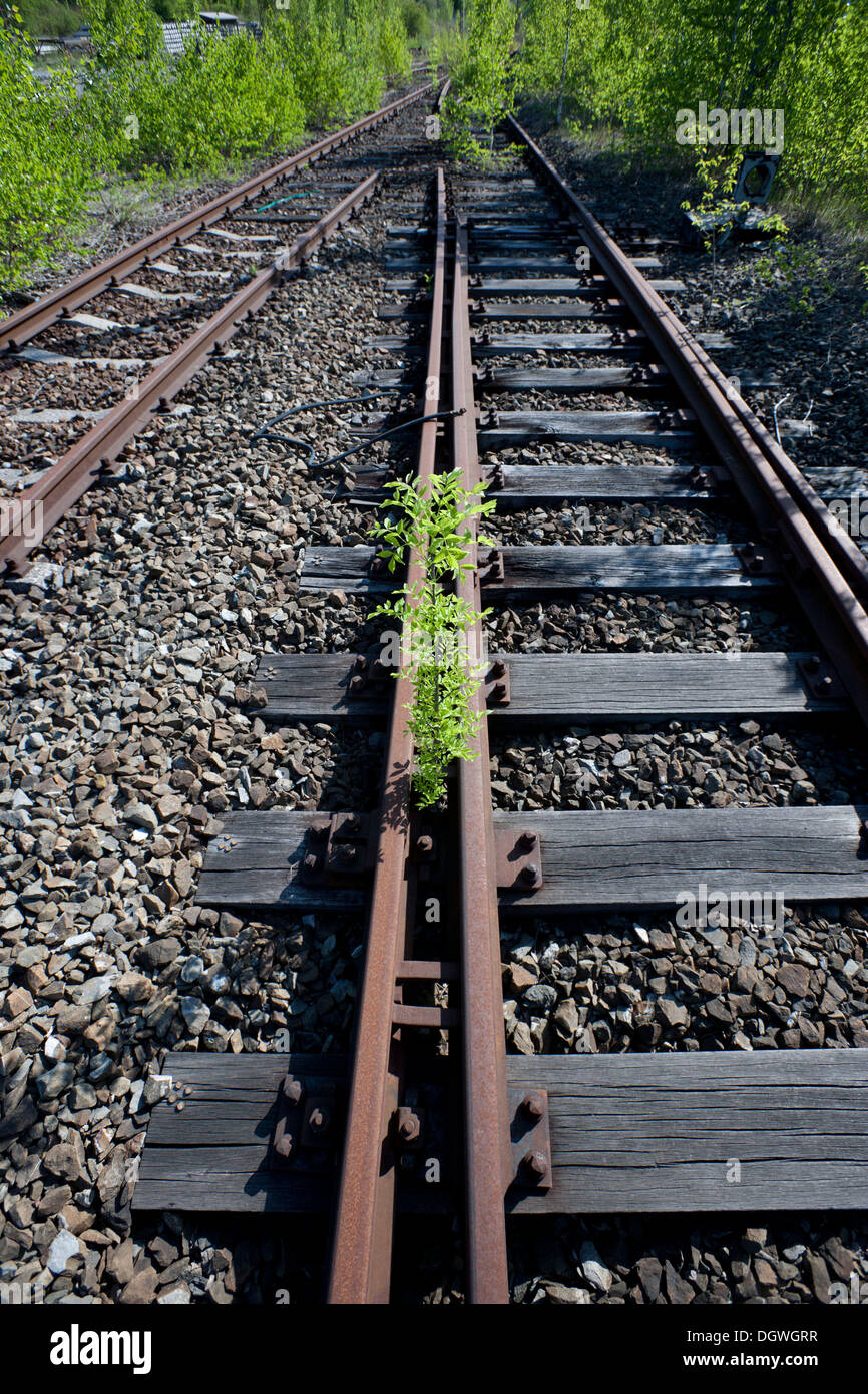 Inoperative rail track hi-res stock photography and images - Alamy