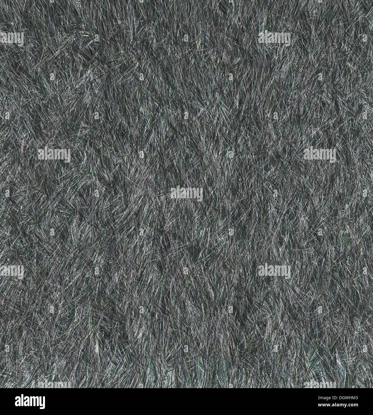 Wolf fur - 2 Stock Photo - Alamy
