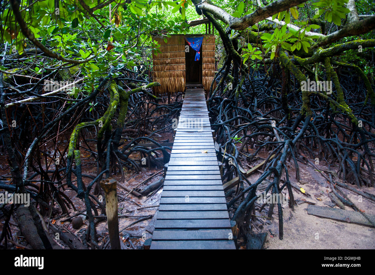 Jungle toilet on an islet, Marovo Lagoon, Western Province, Solomon ...
