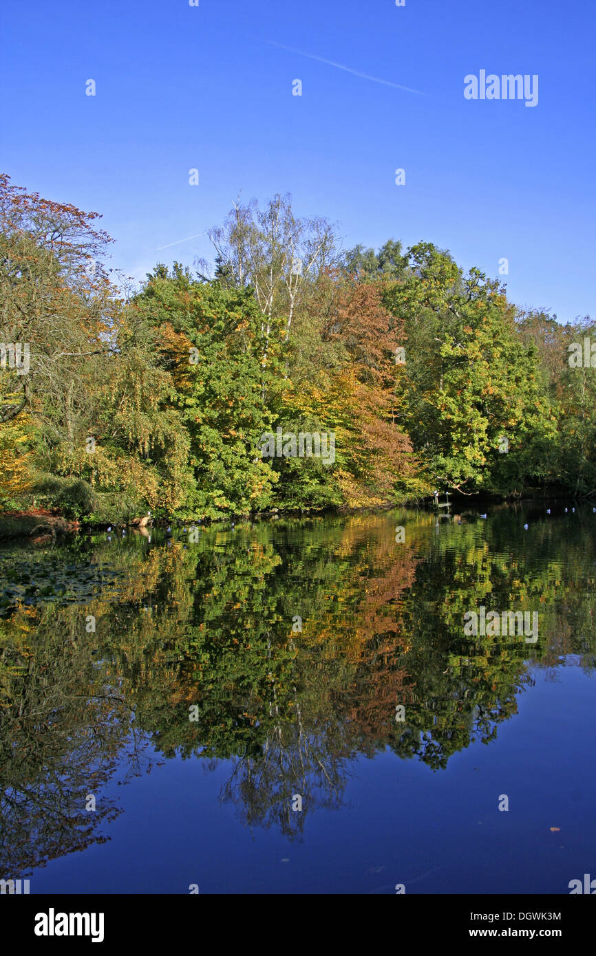 Autumn Reflection, Whitewebbs Lake Enfield Middlesex Stock Photo - Alamy