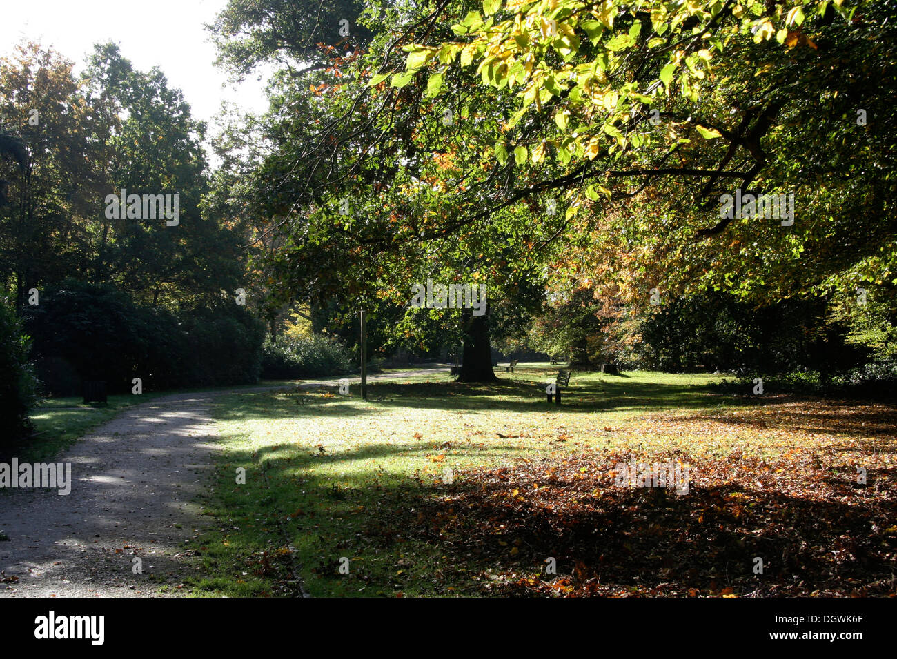 Whitewebbs park hi-res stock photography and images - Alamy