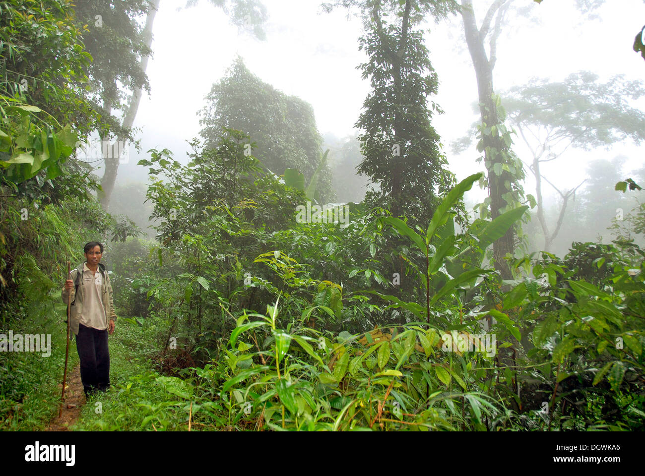 Cloud forests of laos hi-res stock photography and images - Alamy