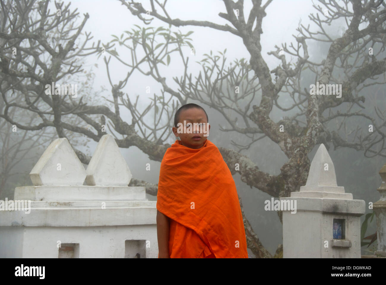 Novice buddhist monk photos hi-res stock photography and images - Alamy