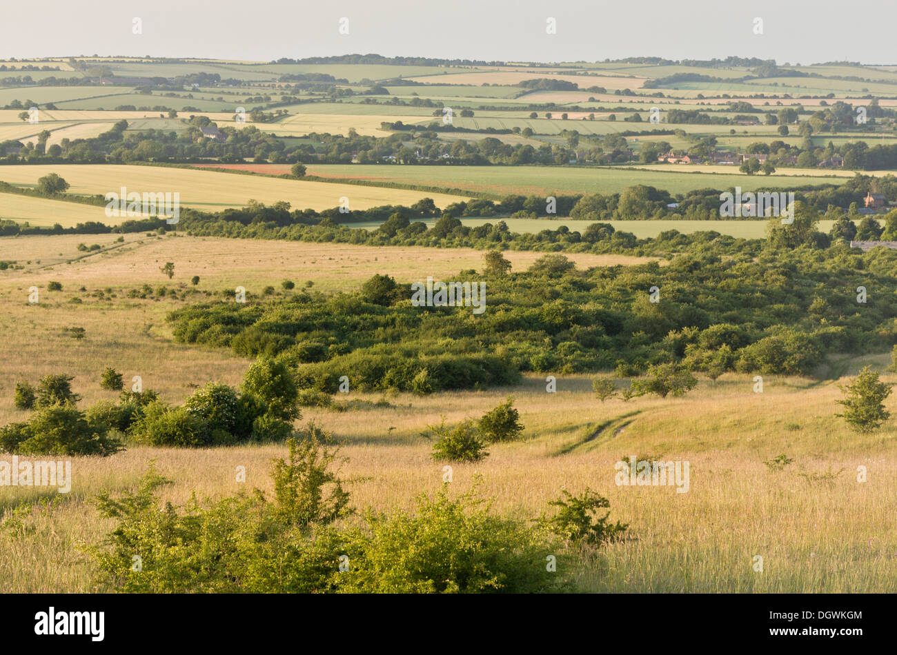 Martin Down National Nature Reserve (NNR) looking north from the chalk ...