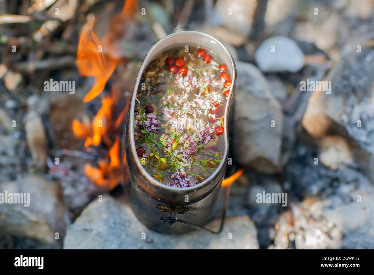 Preparing tea on campfire in wild camping Stock Photo - Alamy