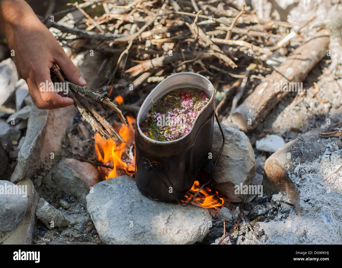 Preparing tea on campfire in wild camping Stock Photo - Alamy