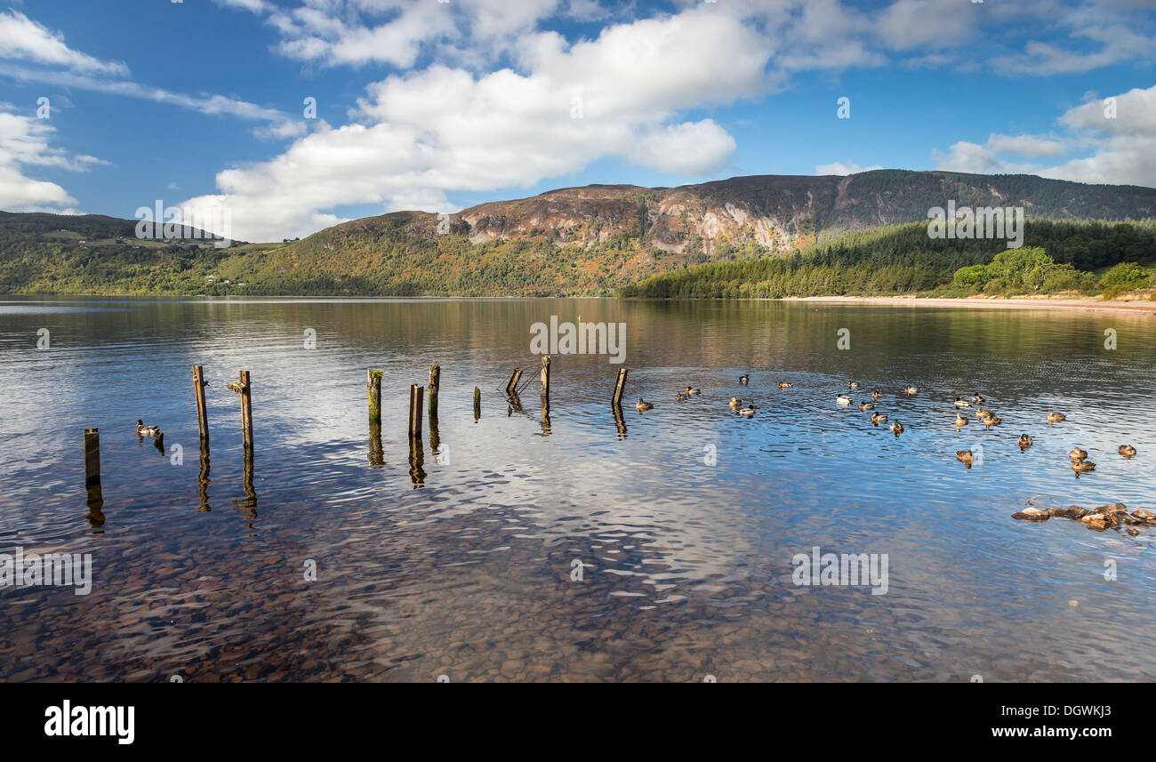 Loch Ness from Dores beach in Inverness-shire, Scotland Stock Photo - Alamy