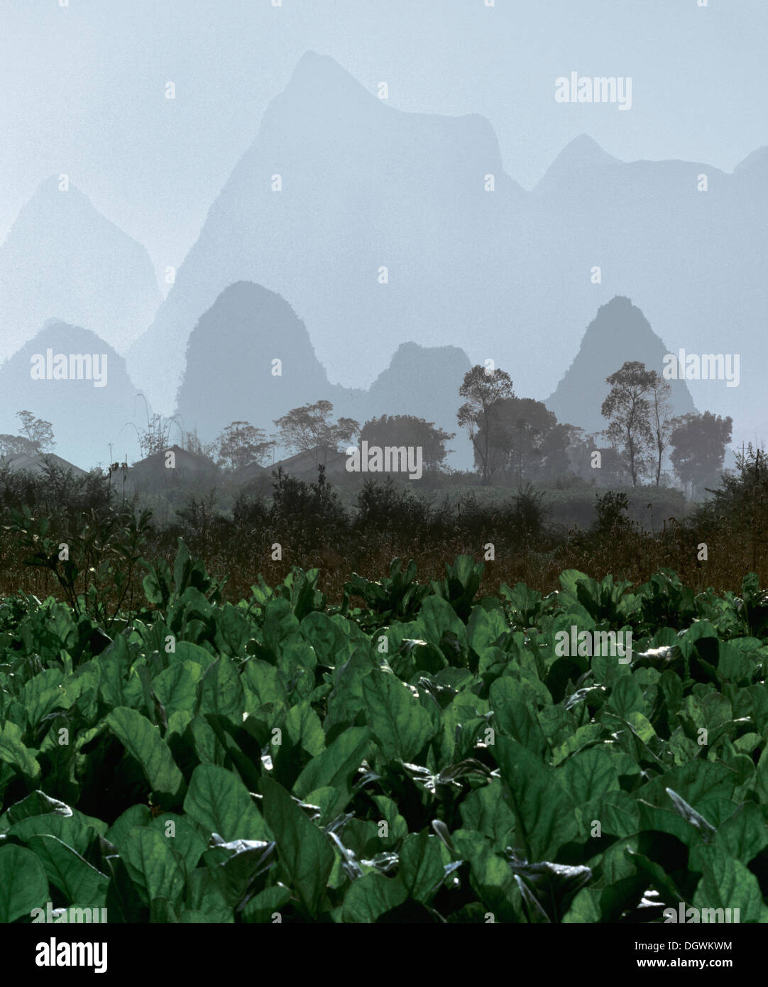 Karst mountain landscape and agriculture near Yangshuo, Guilin, Guangxi ...
