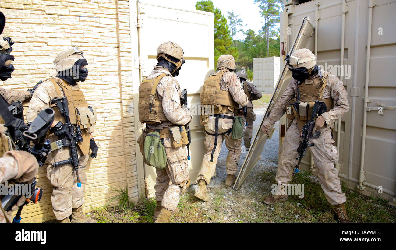 A section leader with 2nd assault amphibian battalion hi-res stock ...