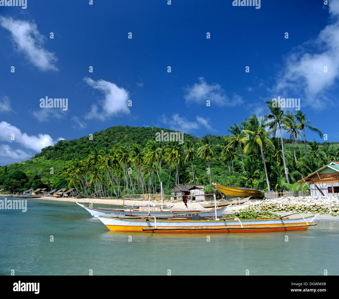 Banka or outrigger boat, palm trees, Linapacan Strait, Palawan ...