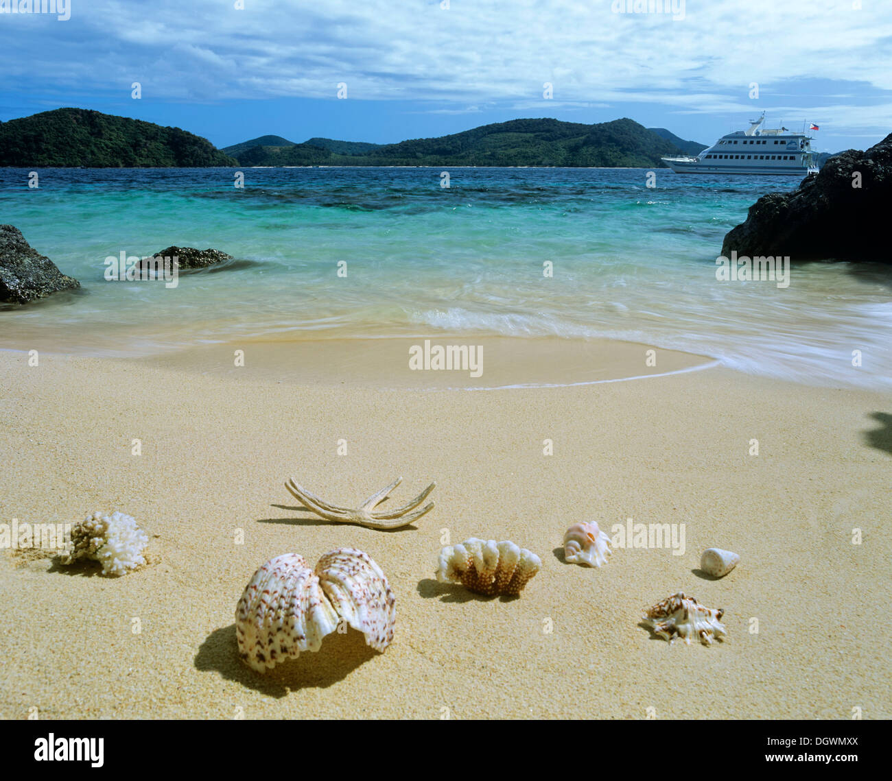 Shells, beach, MB Lagoon Explorer excursion boat at back, Linapacan ...