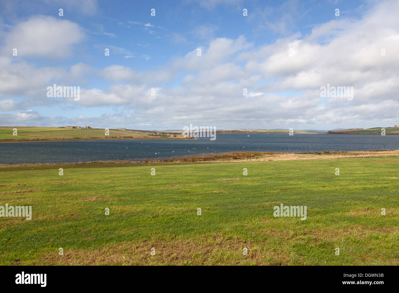 Widewall hi-res stock photography and images - Alamy