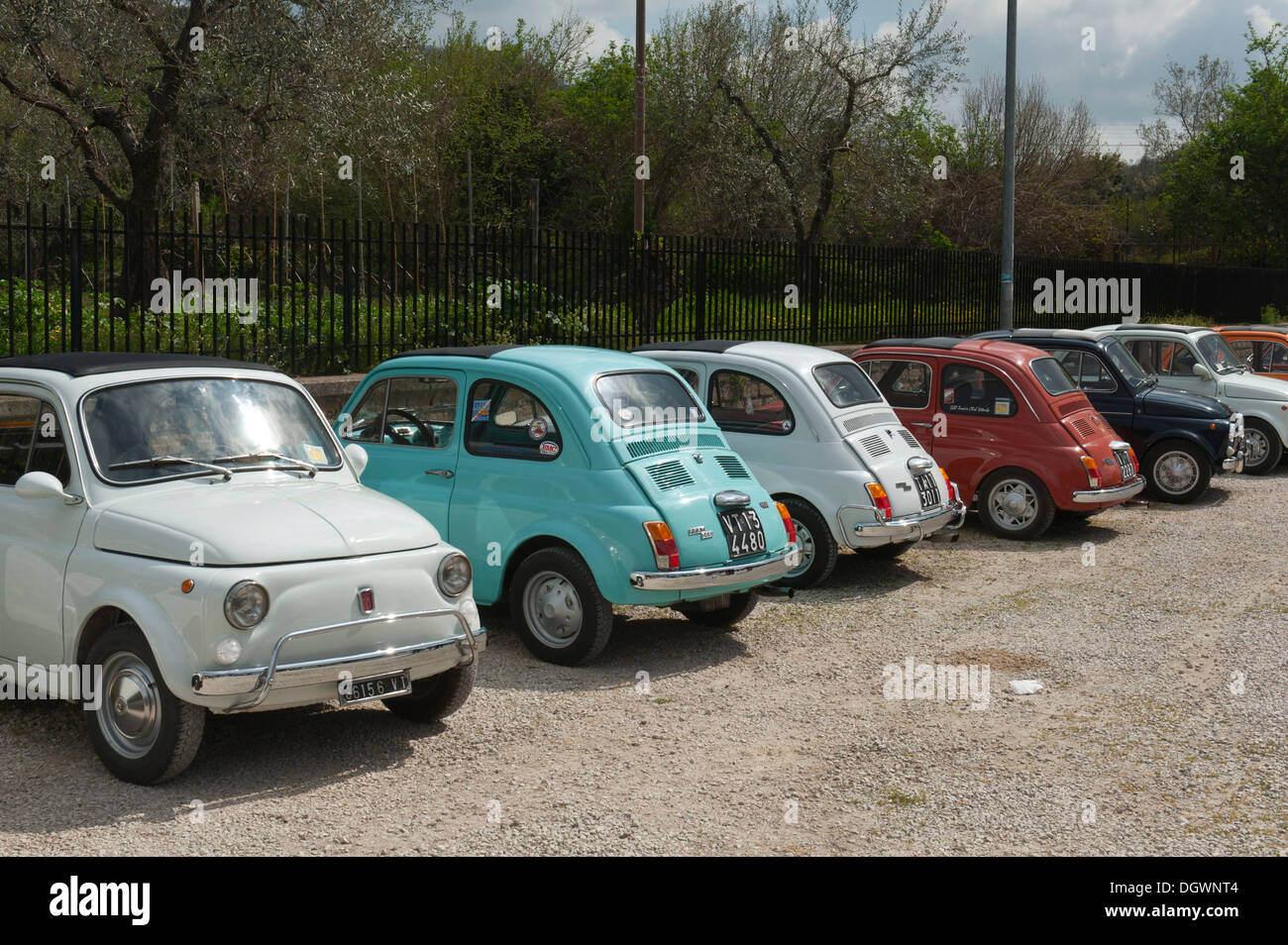 Fiat 500, small cars parked in a row, Bolsena, Lazio, Italy, Southern ...
