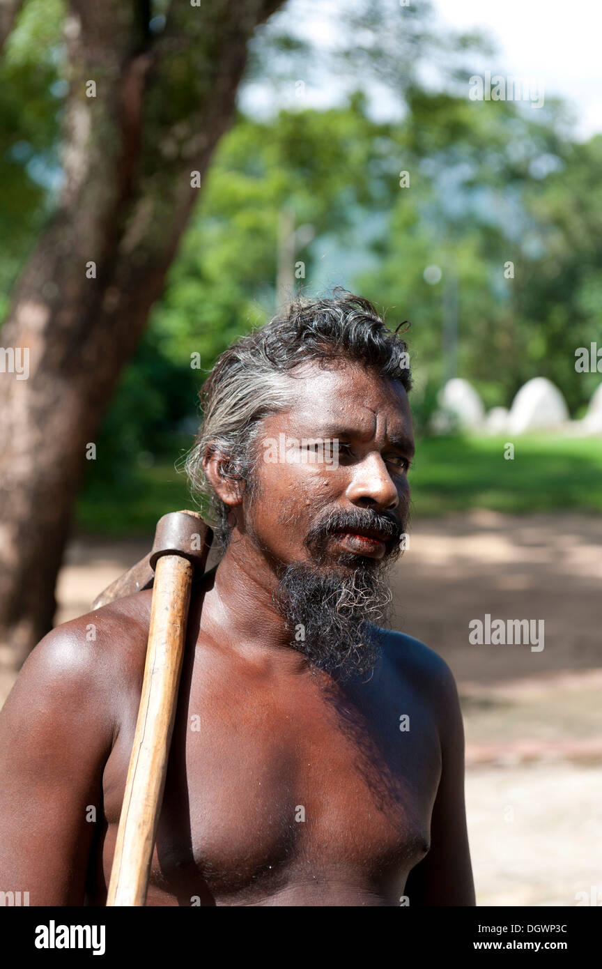 Man of the Vedda ethnic group, indigenous people, portrait, Mahiyangana ...