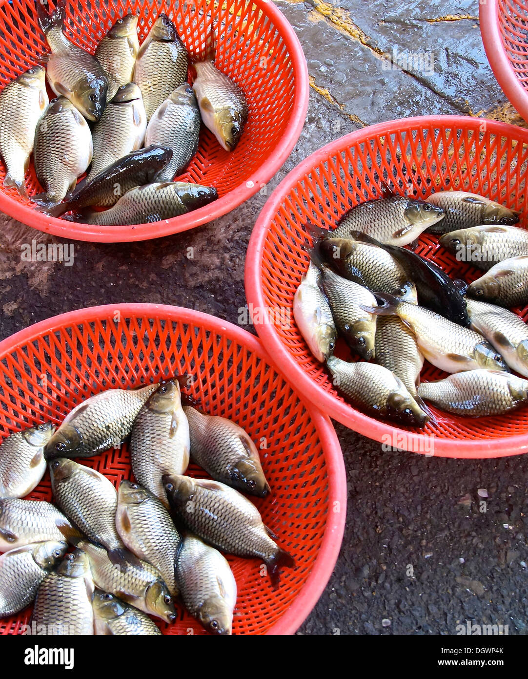 Taiwan fish market hi-res stock photography and images - Alamy