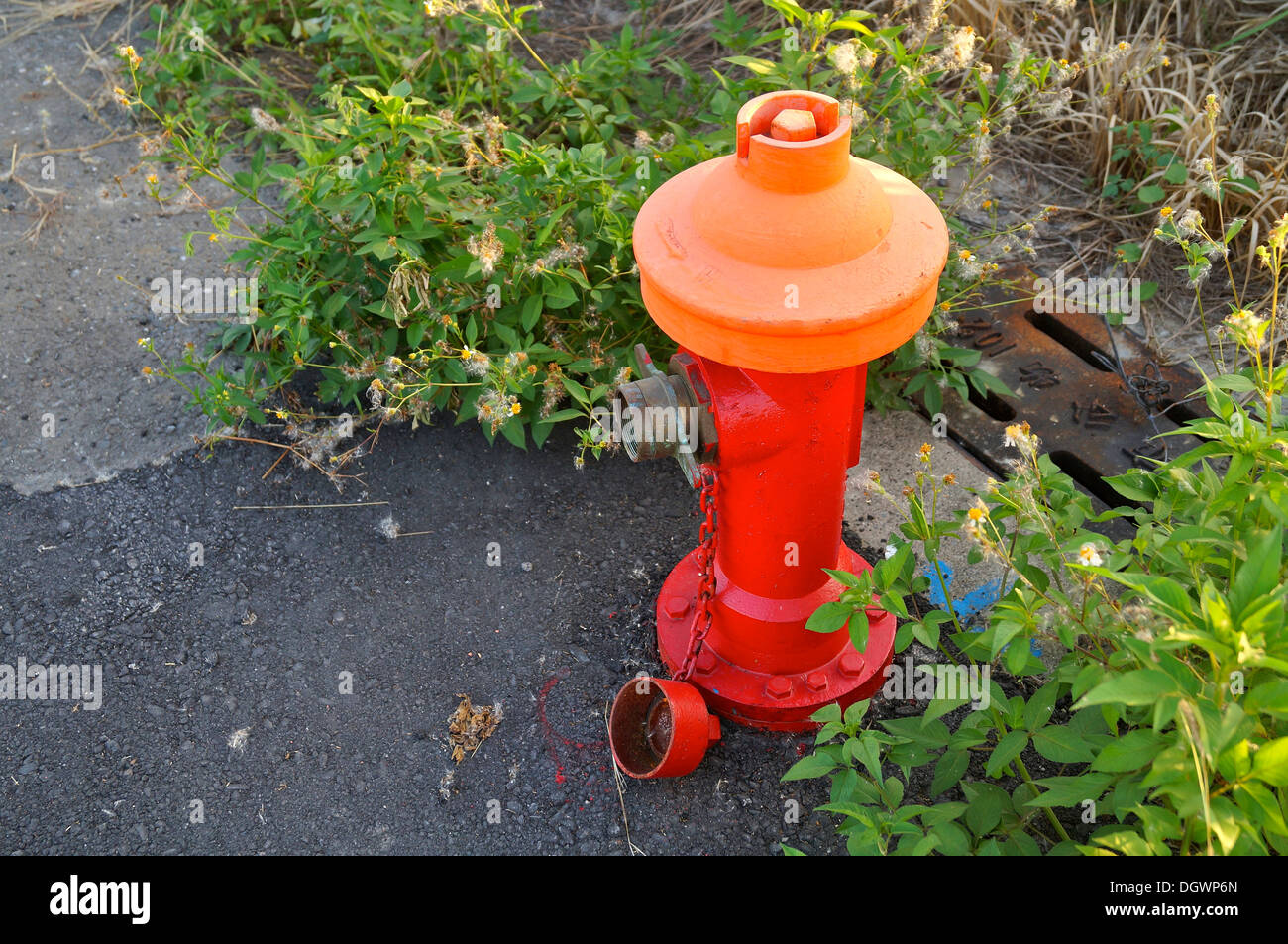 Fire hydrant spray hi-res stock photography and images - Alamy