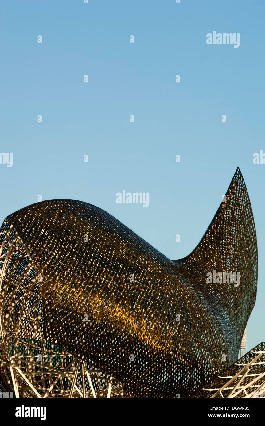 Copper fish ( Peix ) by Frank Gehry, Barcelona, Catalunya, Spain Stock ...