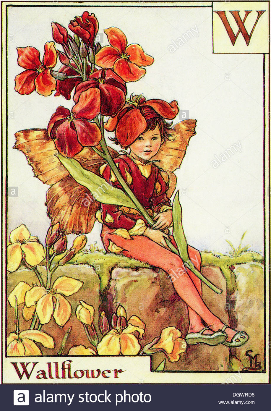 Flower fairies of the spring cicely mary barker - diafer