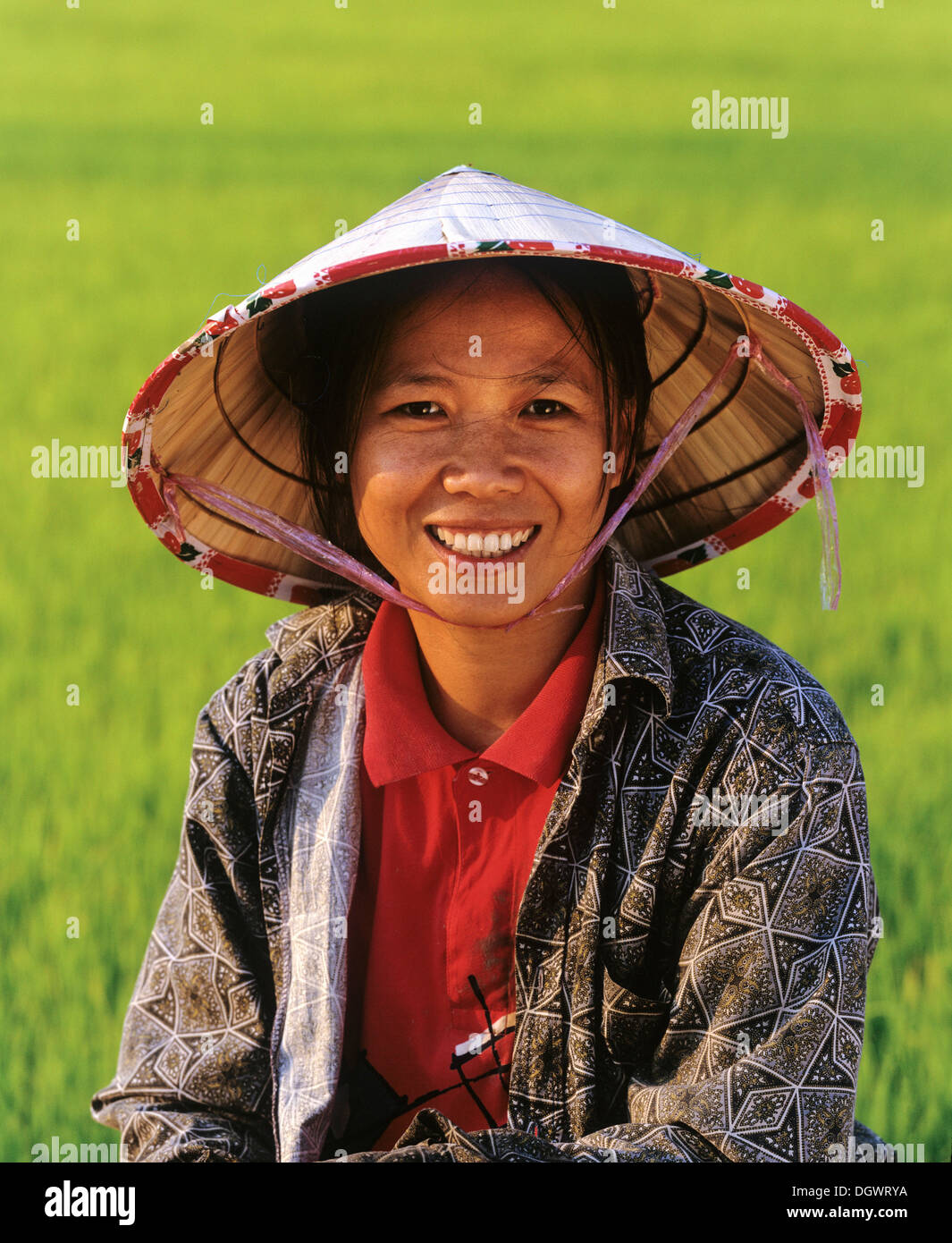 Rice workers in laos paddy field hi-res stock photography and images ...