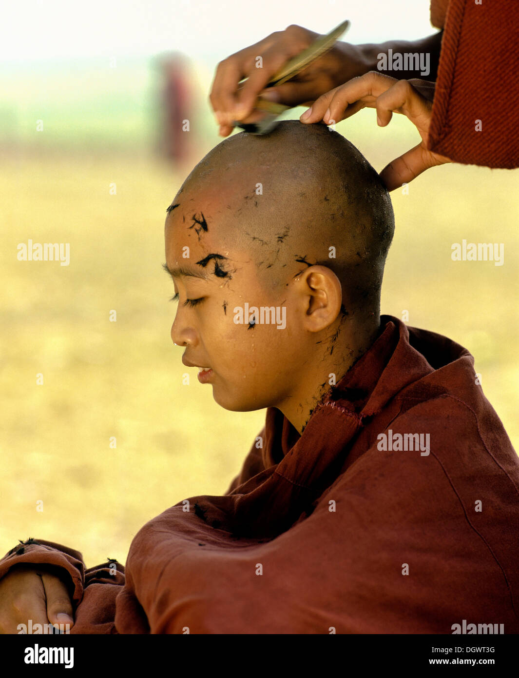 Buddhist monks shaves buddhist monks head hi-res stock photography and ...