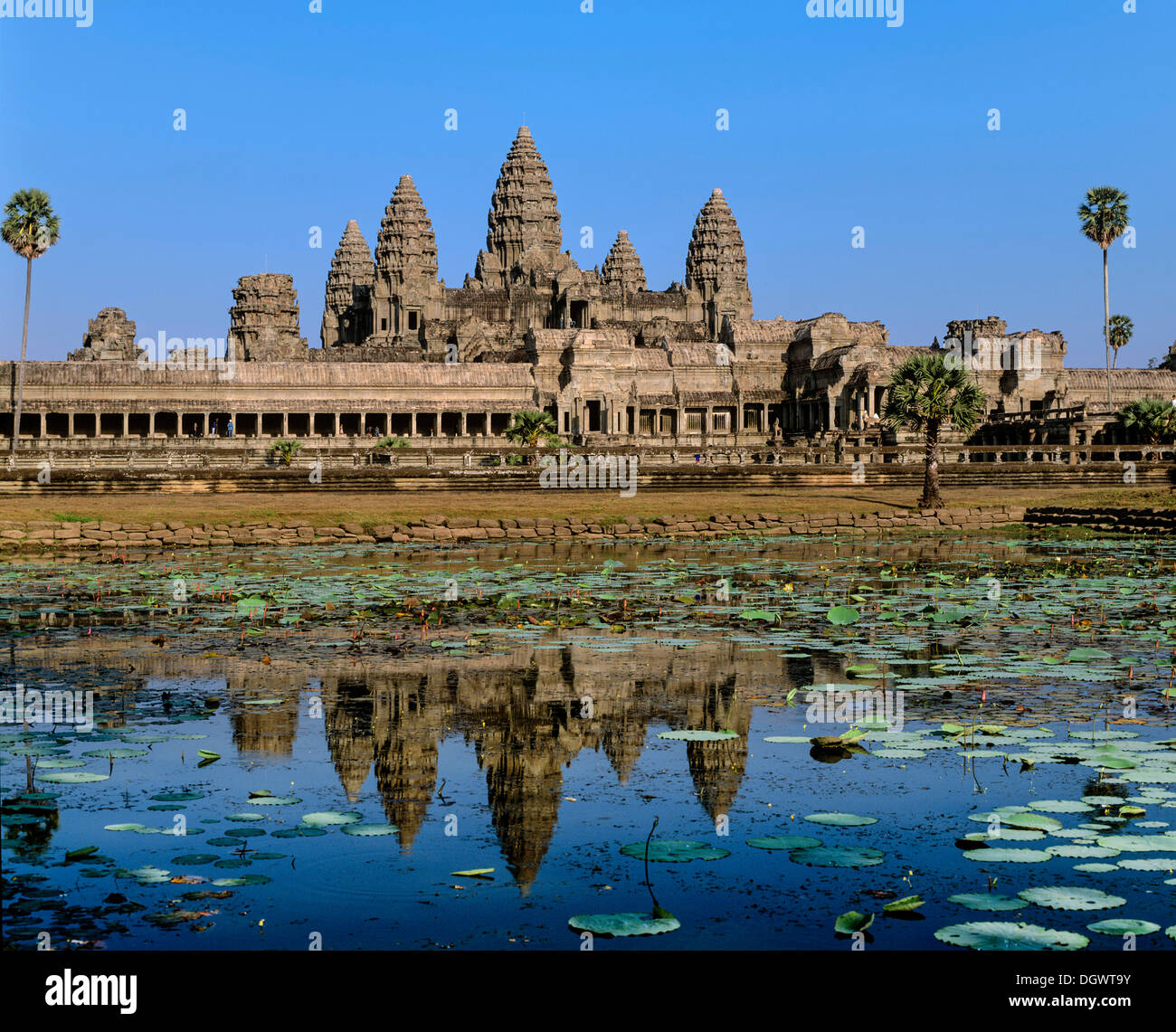 Temple of Angkor Wat reflected in a lotus pond, Angkor Wat, Siem Reap ...