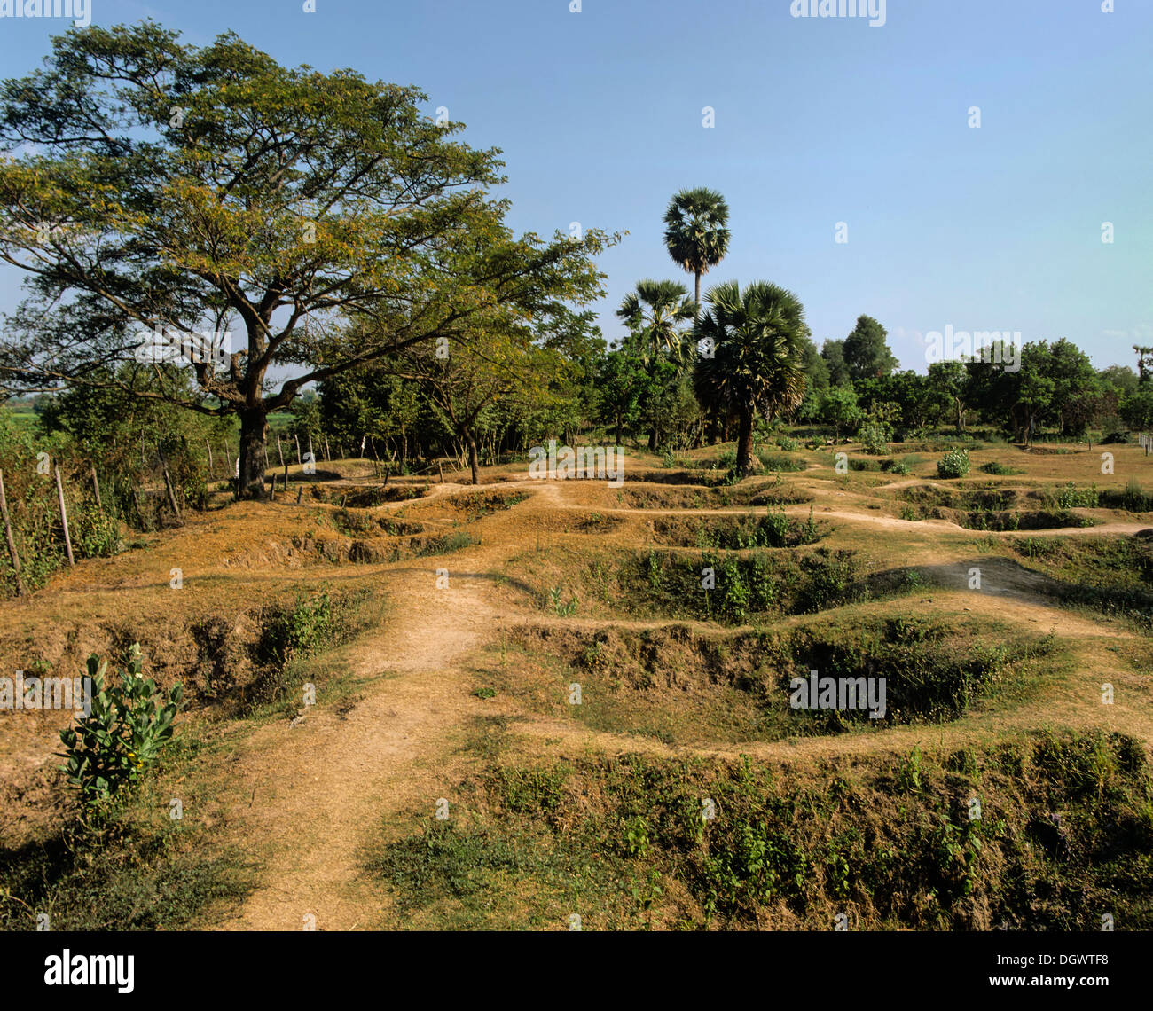 Choeung Ek, mass graves at the Killing Fields, victims of the Pol Pot ...